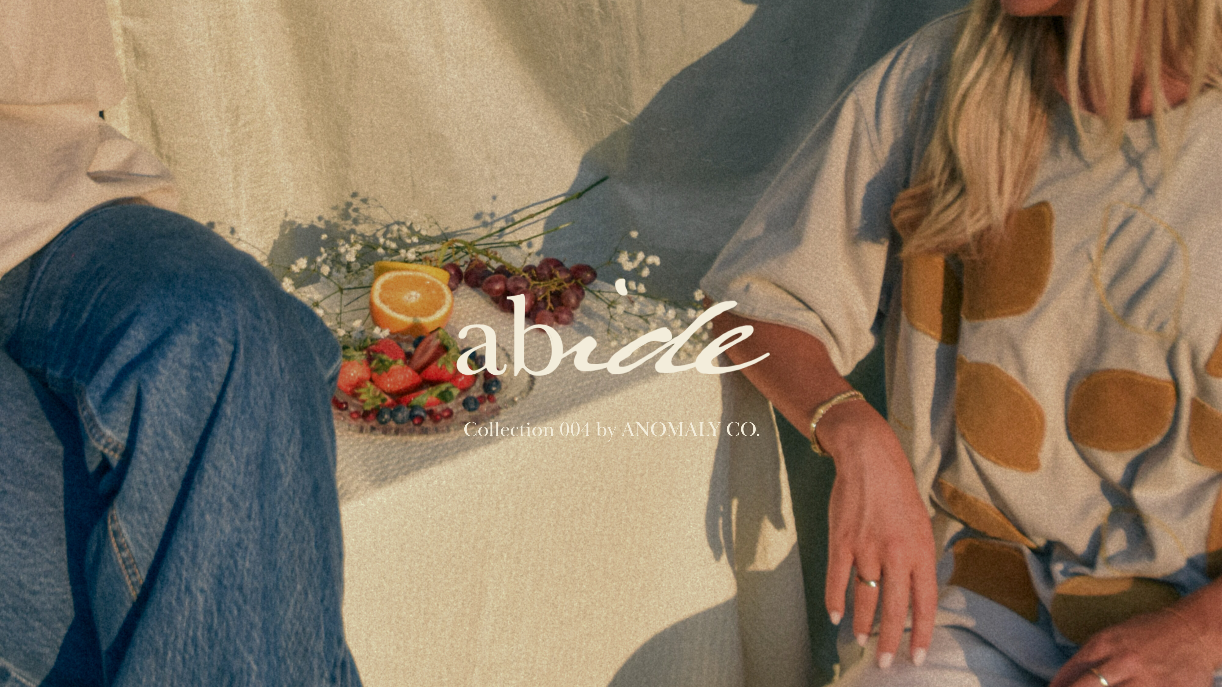 Collection 004: ABIDE – ANOMALY CO.
